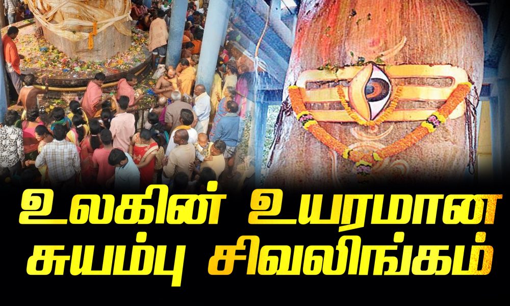 உலகின் உயரமான சுயம்புலிங்கம் - Astrology Tamil suyambu lingam